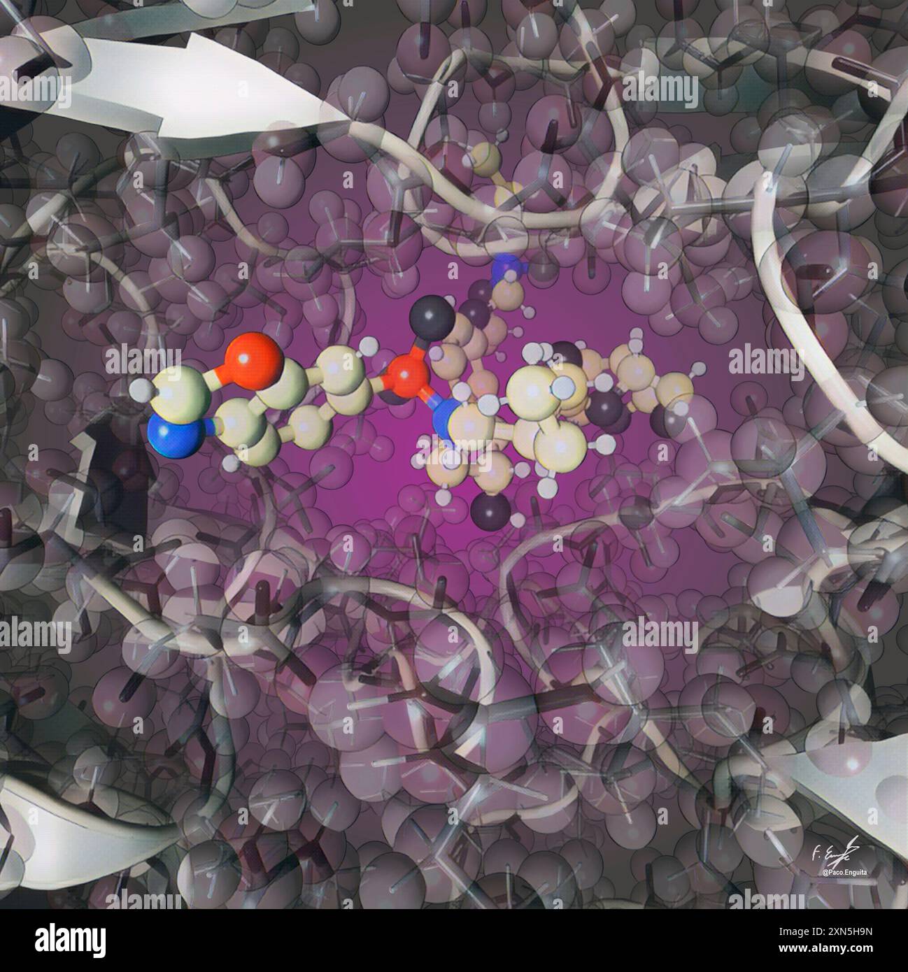 Illustration of the enzyme HIV-1 protease bound to an inhibitor ...