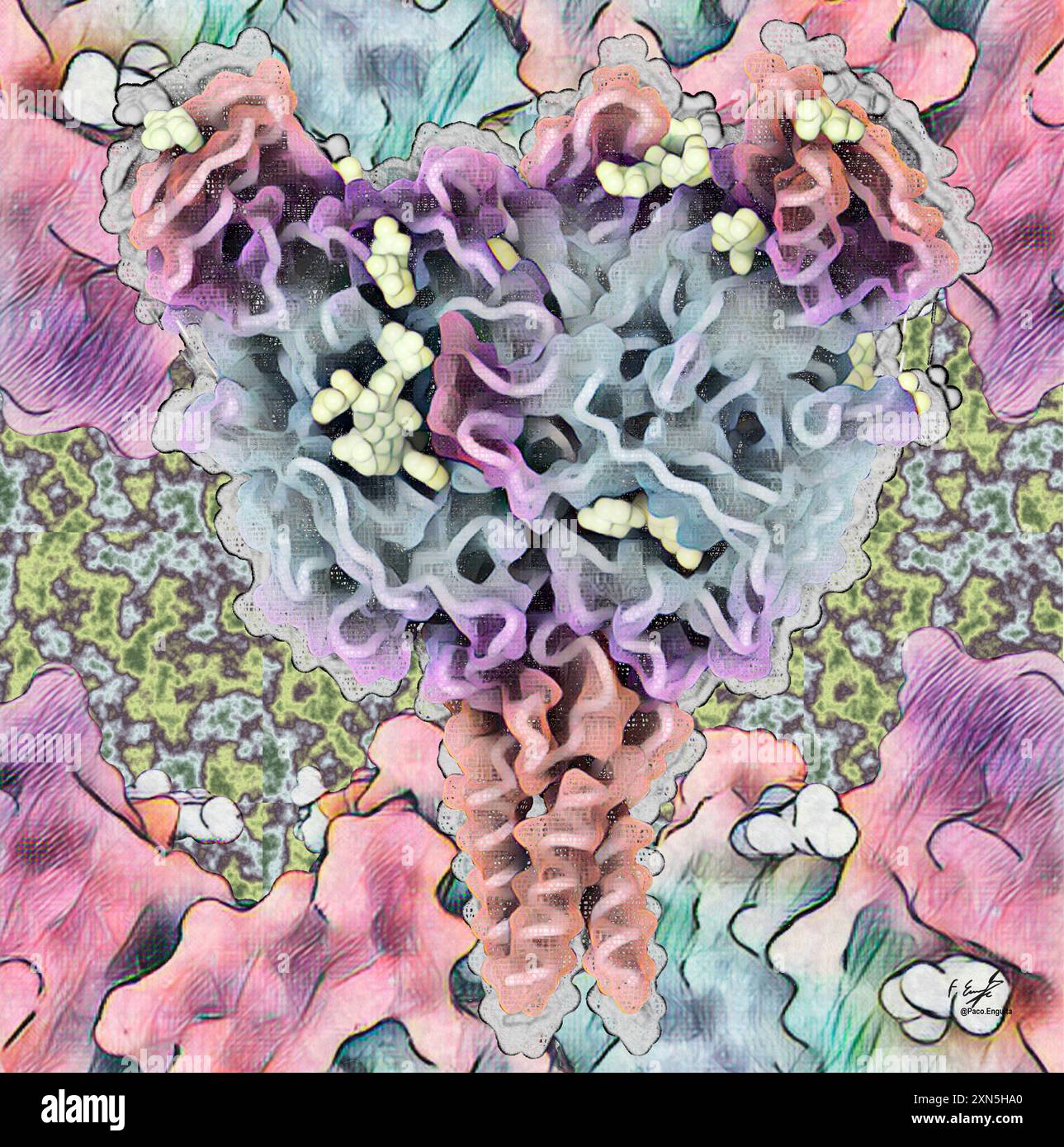 Illustration of the envelope glycoprotein from the Zaire ebolavirus ...