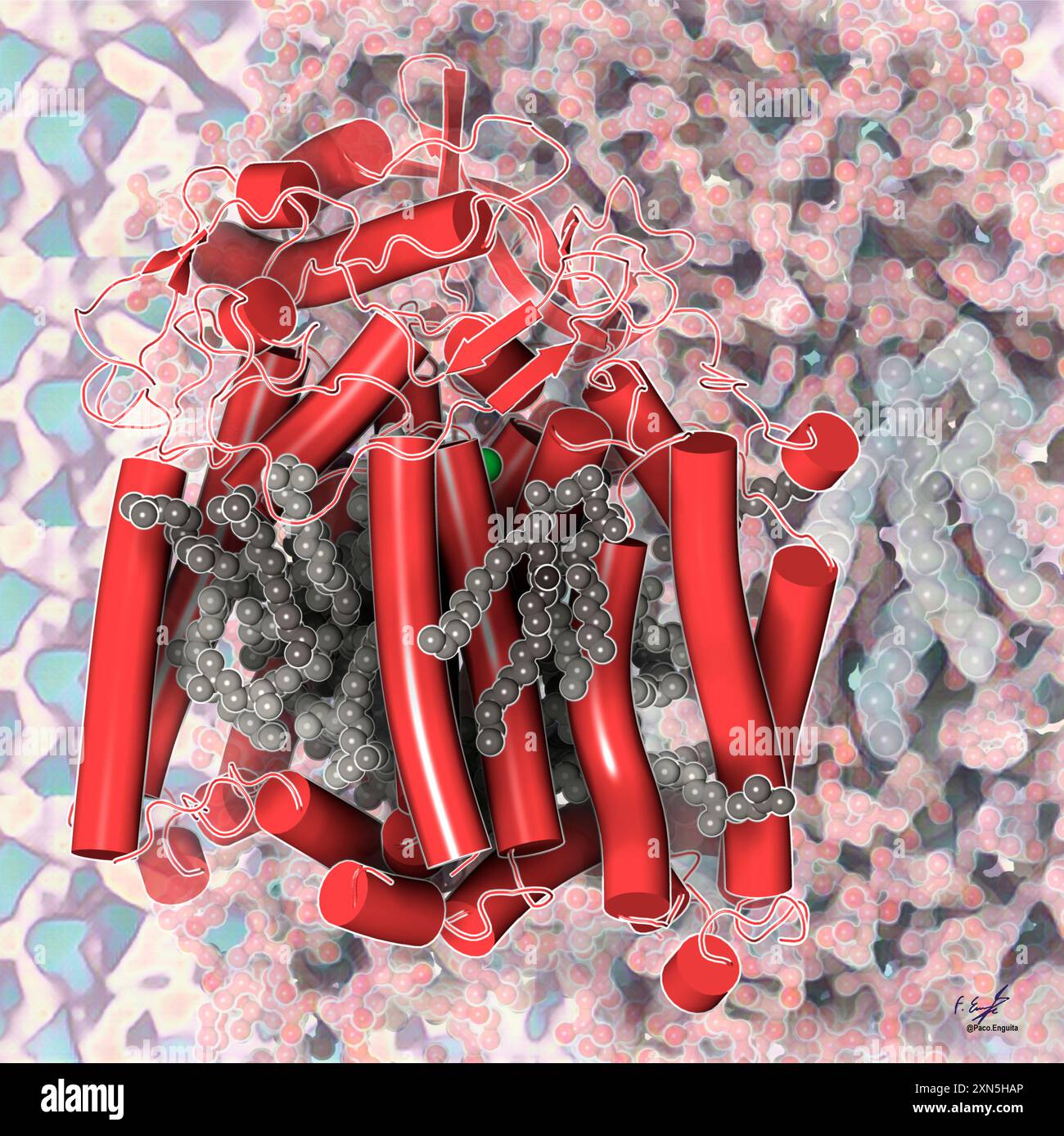 Illustration of the photosynthetic reaction centre from the bacterium ...