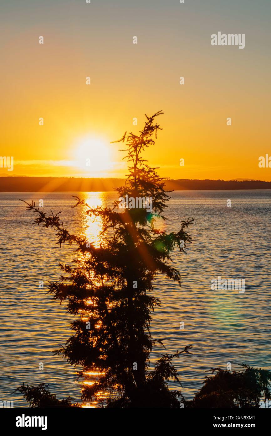 orange sunset with lens flare over Puget Sound water with evergreen ...