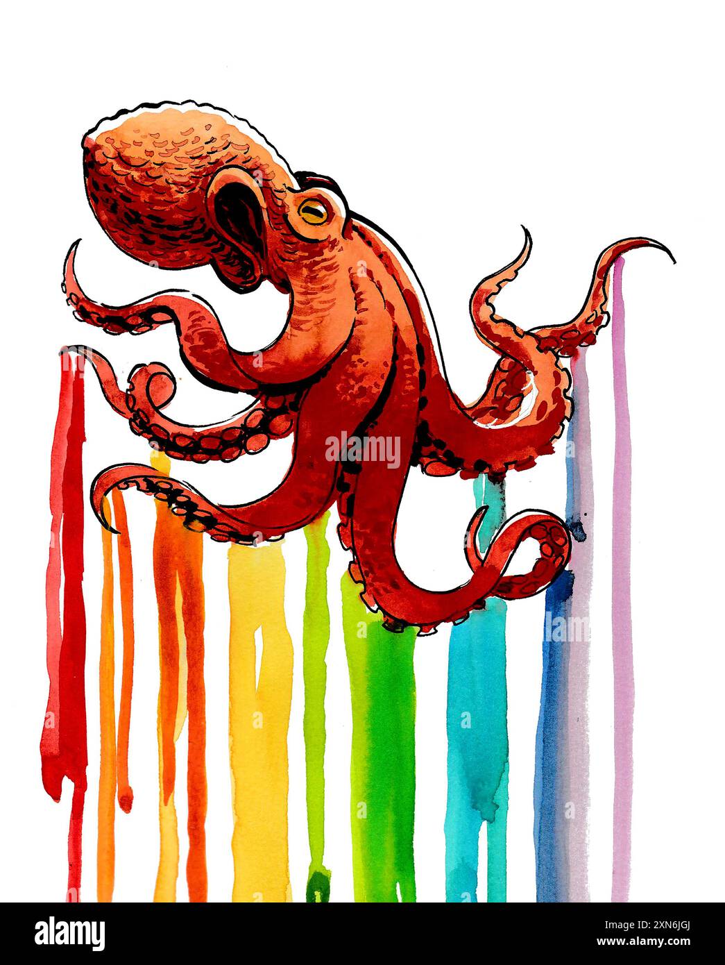 Rainbow coloured octopus. Hand drawn ink and watercolour illustration ...