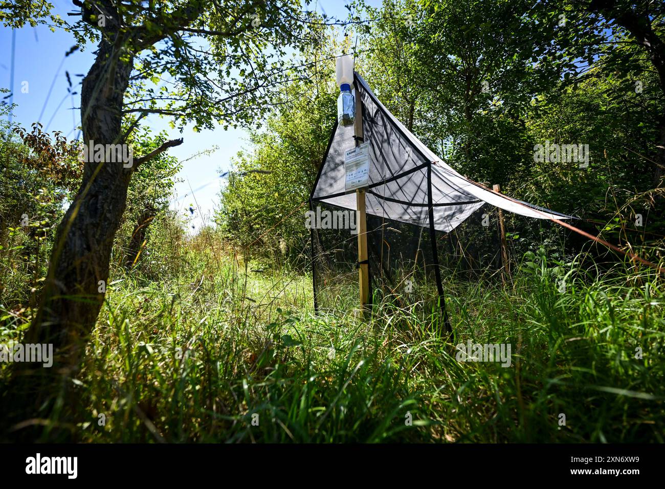 Bioacoustic hi-res stock photography and images - Alamy