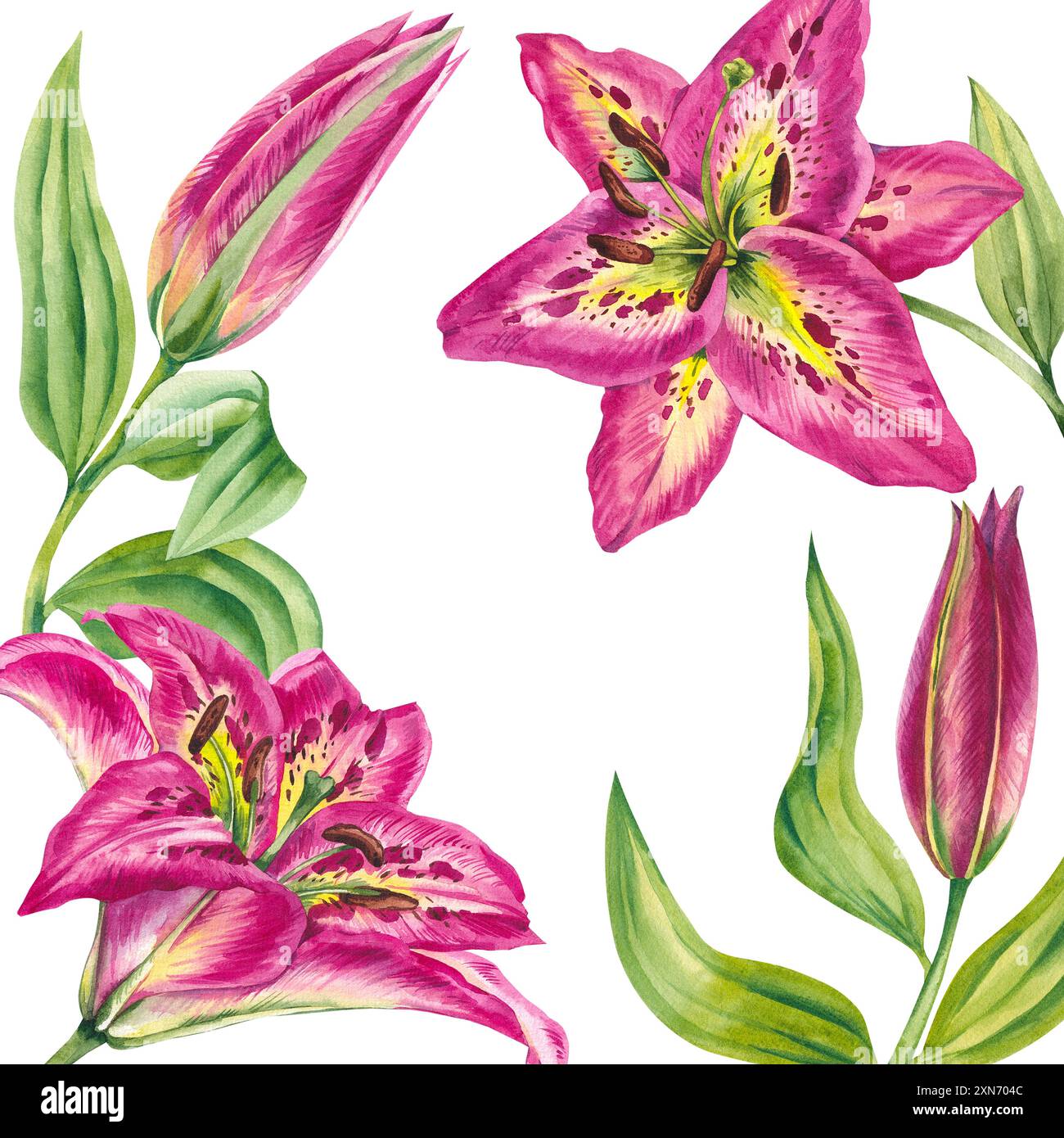 Watercolor bright lilies frame. Lilies frame background. Hand-drawn ...