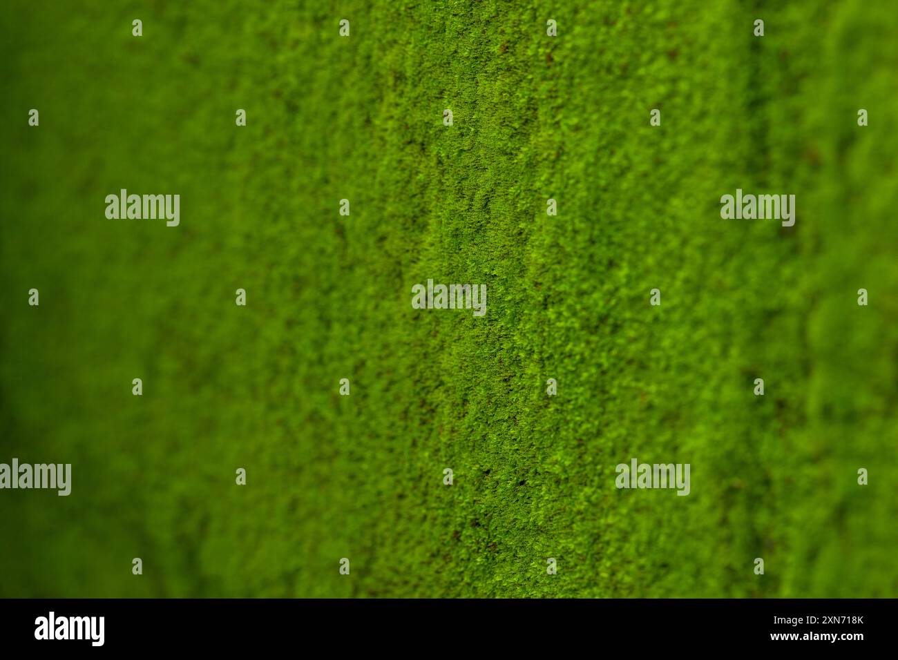 Beautiful display natural beauty hi-res stock photography and images ...