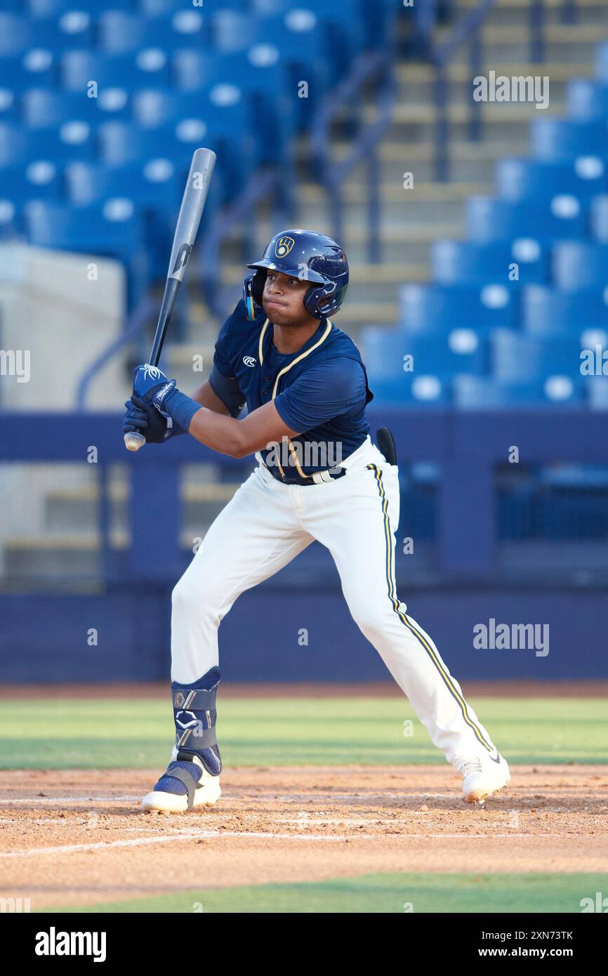 Luis Lameda (5) of the ACL Brewers follows through on a swing during an ...