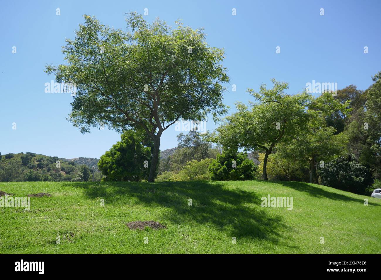 Los Angeles, California, USA 29th July 2024 Pote Baseball Field where ...