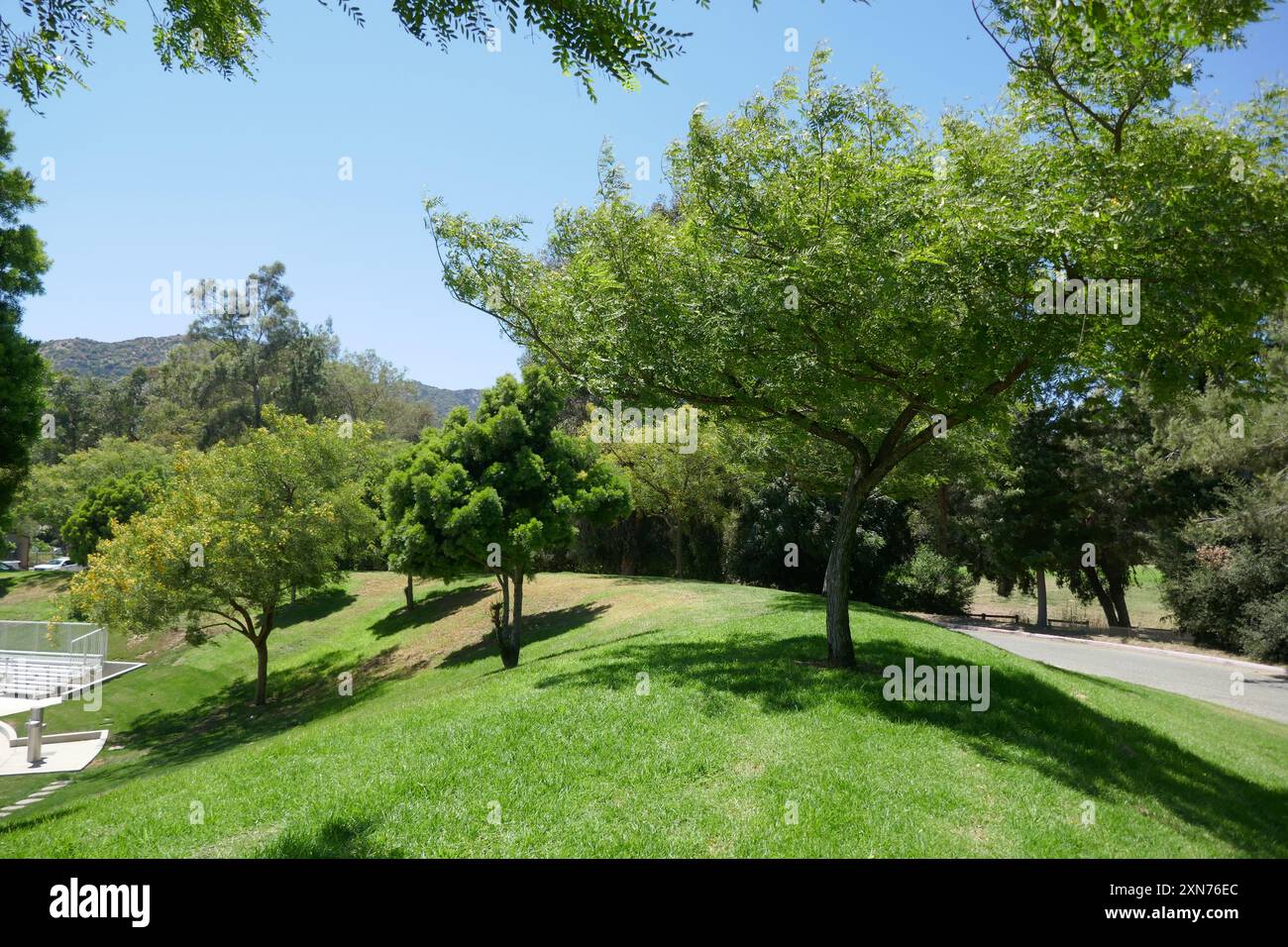 Los Angeles, California, USA 29th July 2024 Pote Baseball Field where ...