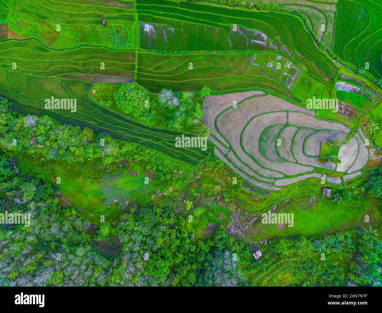 beautiful morning view from Indonesia of mountains and tropical forest ...