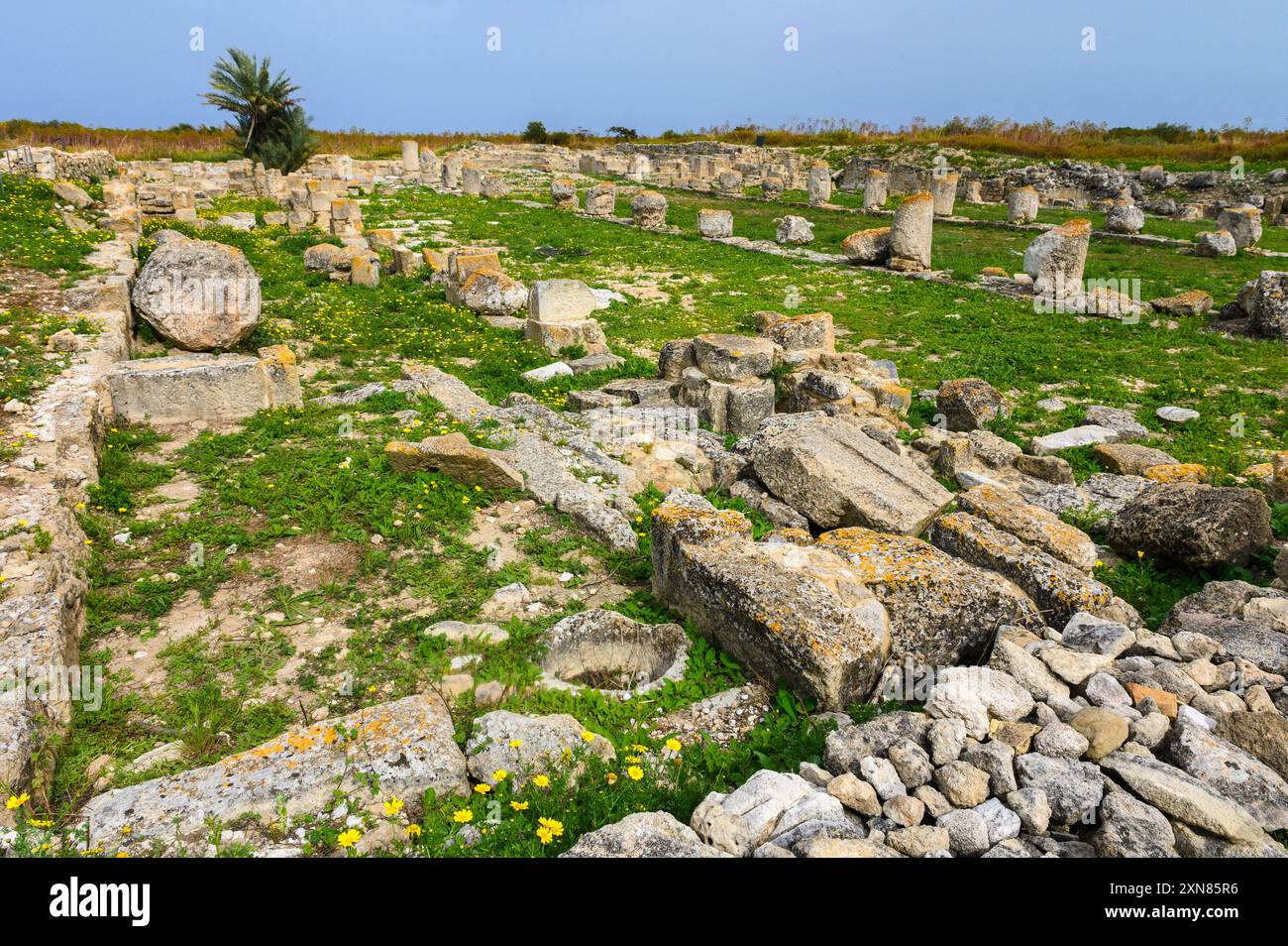 Ruins of Salamis, northern Cyprus Stock Photo - Alamy
