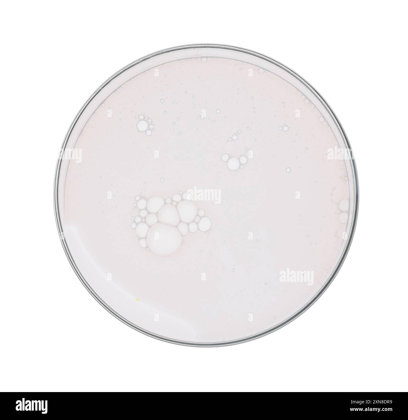 Petri dish with sample isolated on white, top view Stock Photo - Alamy