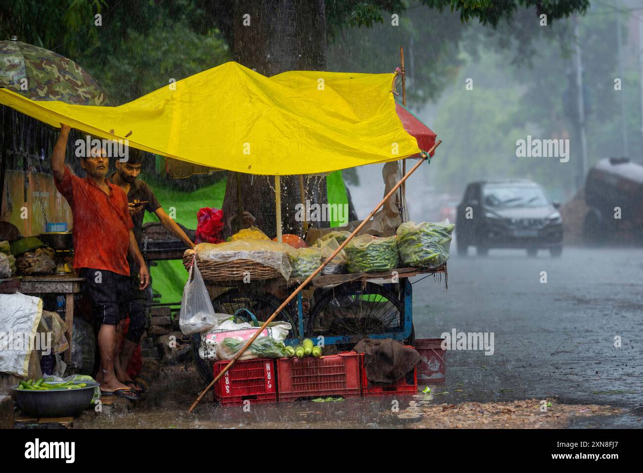 An Indian vegetable vendor uses a plastic sheet to shield in the rain ...