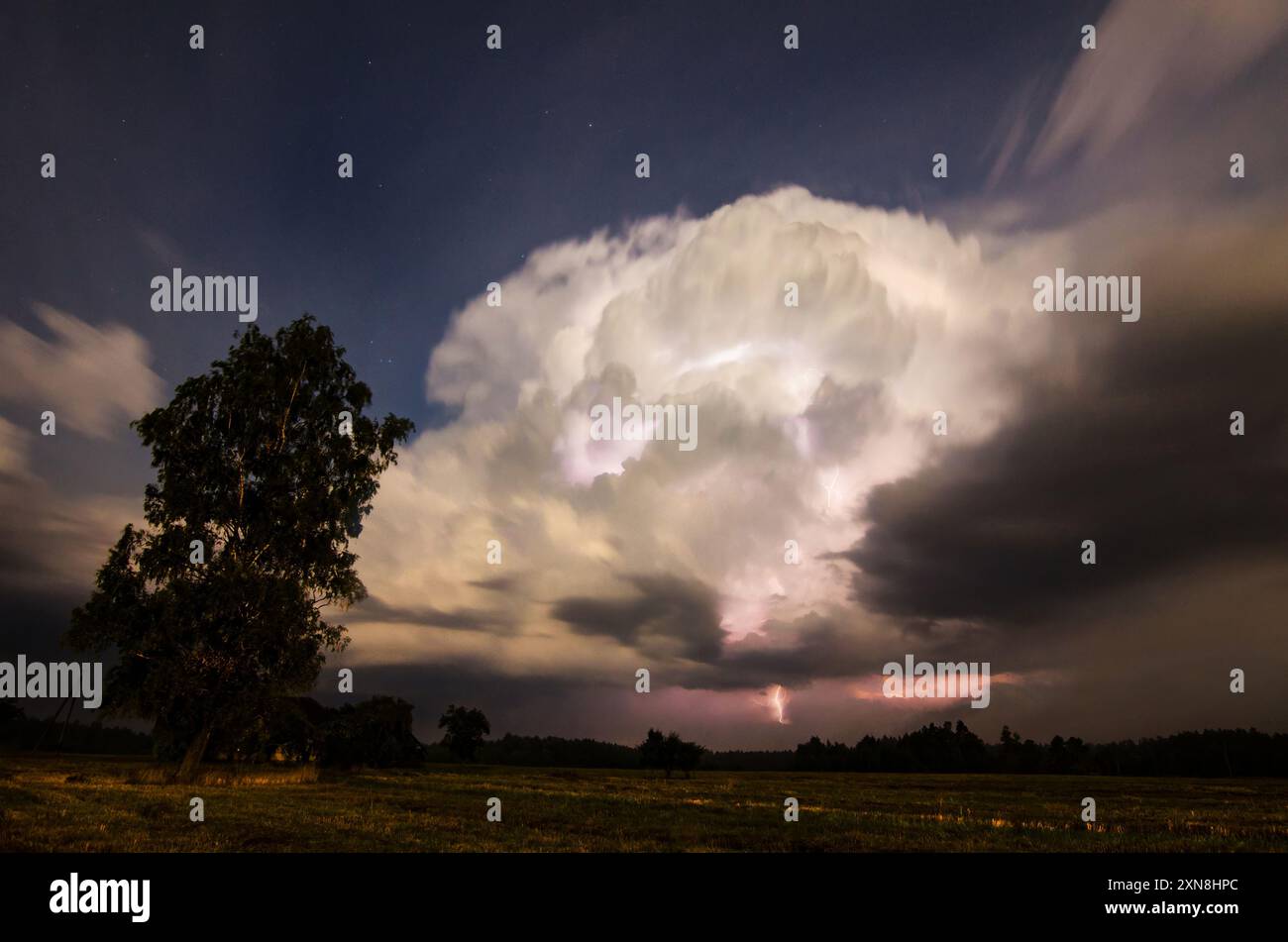 Lightning Cloud in the Night Sky. World Meteorological Day, Rain Day ...