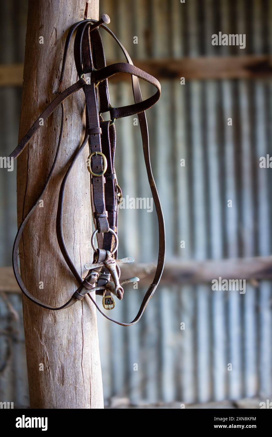Old horse bridle hi-res stock photography and images - Alamy