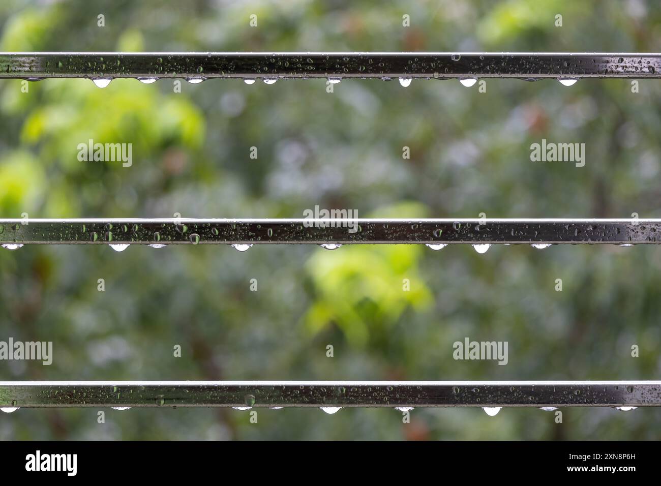 Rain water droplets on steel pipe in rainy day with blur green nature ...