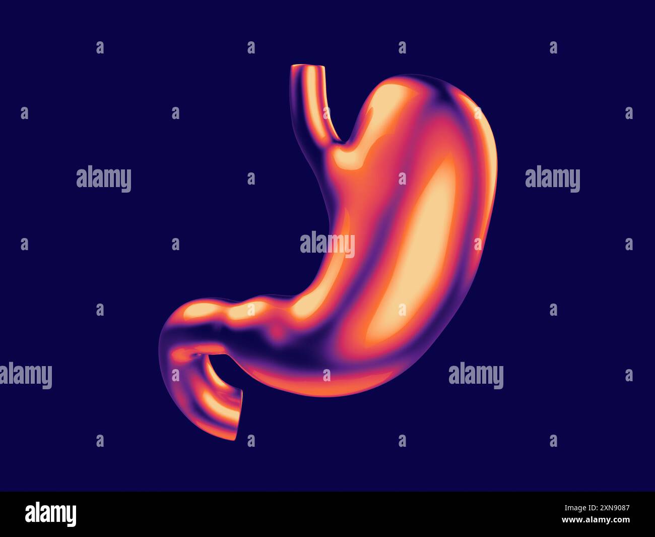 A radiant, 3D model of the stomach, bathed in warm hues, showcases the ...