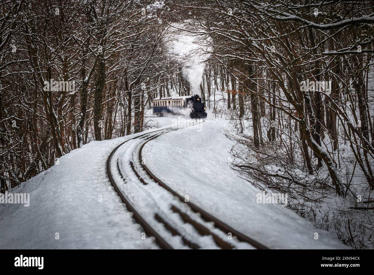Budapest, Hungary - Beautiful winter snowy forest scene with nostalgic ...