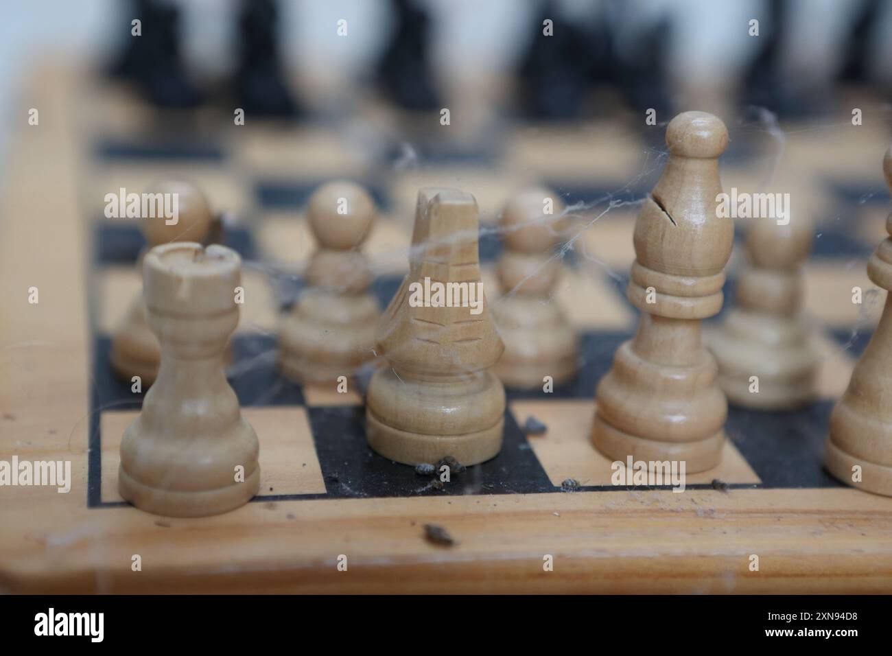 Chess board chess game chess pieces with cobwebs and dust - concept ...
