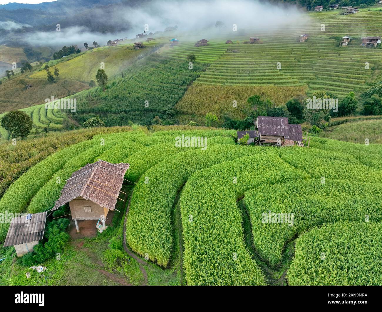 Landscape of green rice terraces and traditional huts in a village near ...