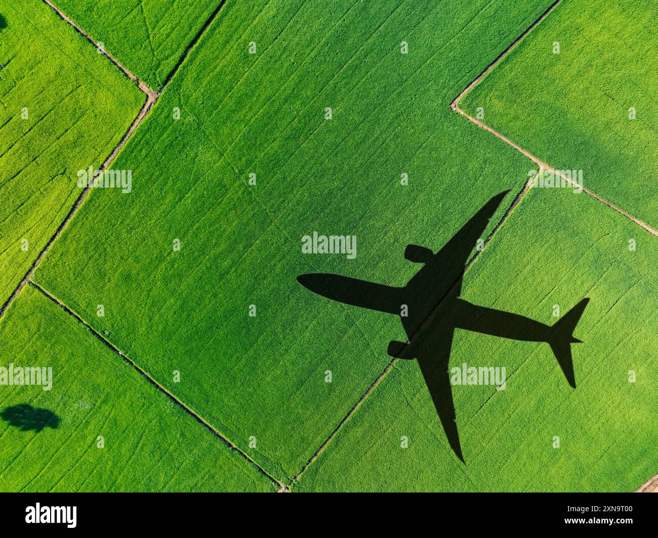 Shadow airplane flying above green field. Sustainable fuel. Biofuel in aviation. Sustainable ...