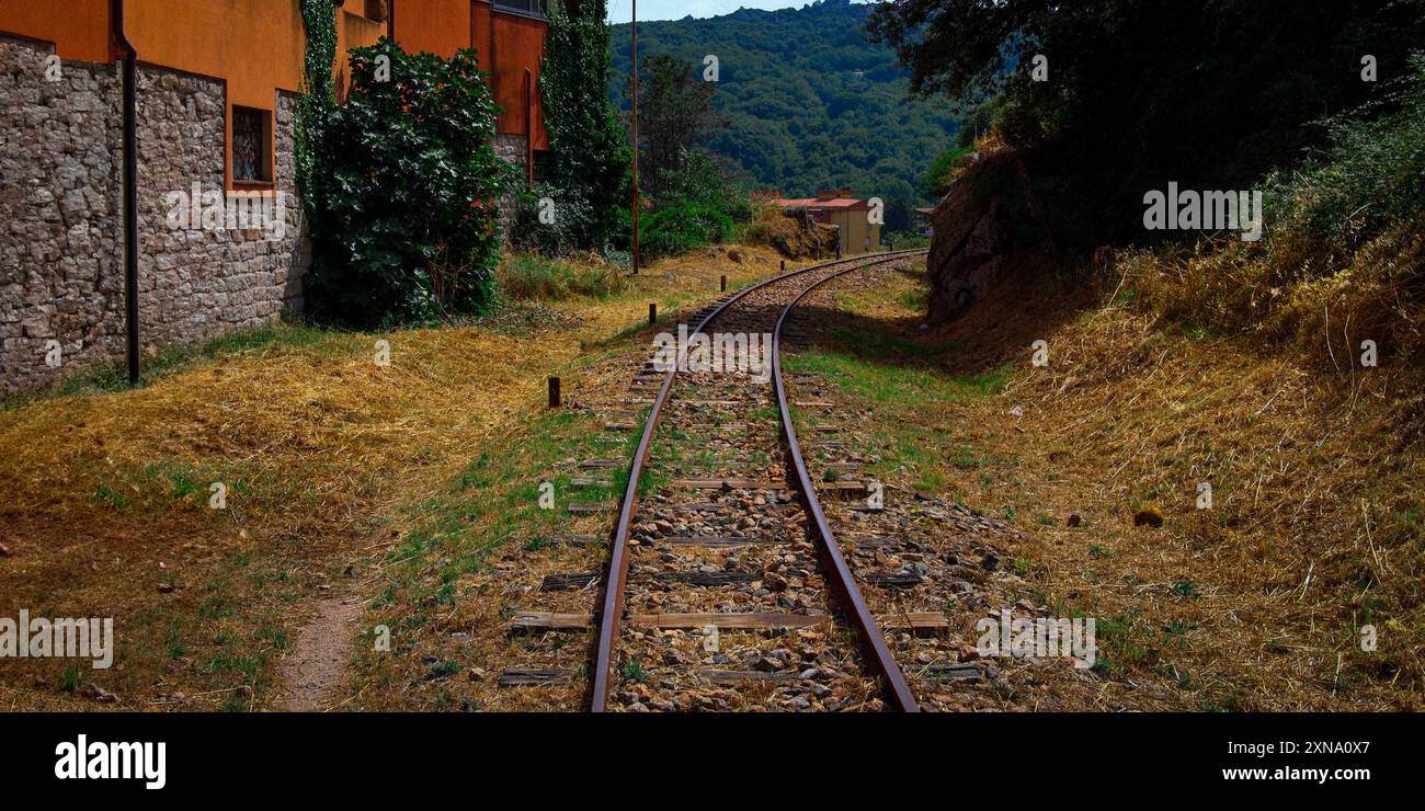 Ancient Railway Tracks Leading into the Forest Stock Photo - Alamy
