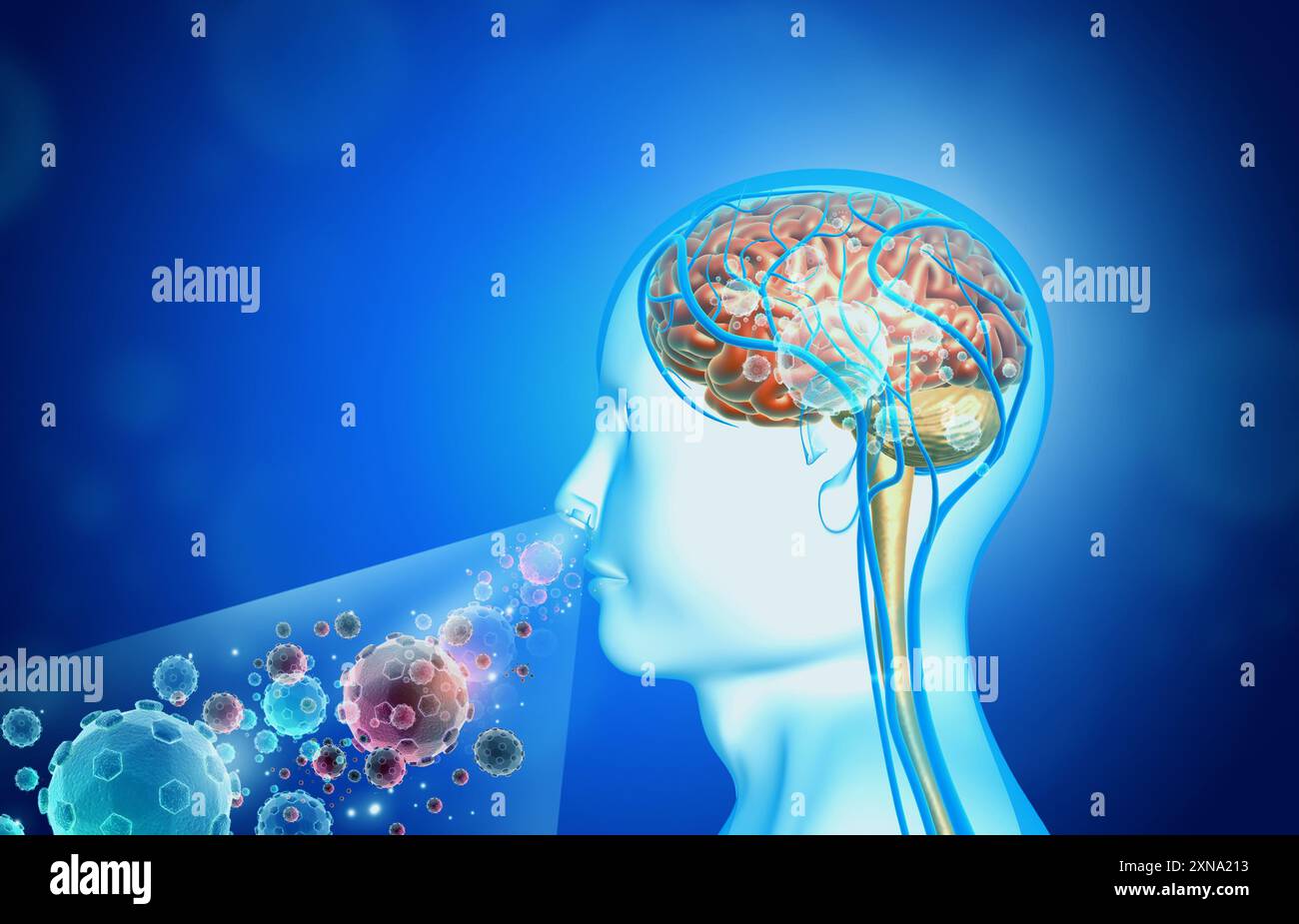 Bacteria man hi-res stock photography and images - Alamy