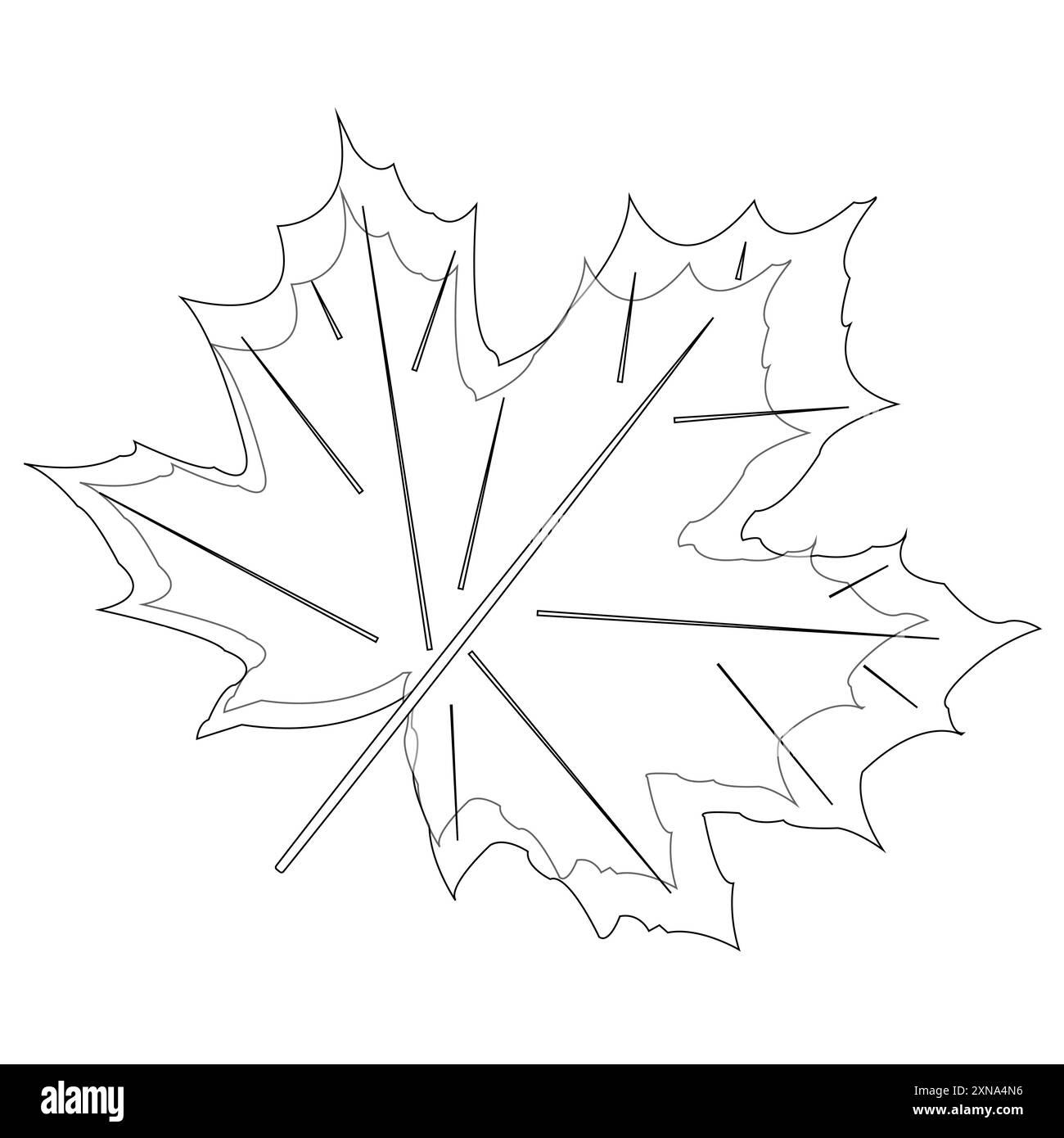 Leaf outline hi-res stock photography and images - Alamy
