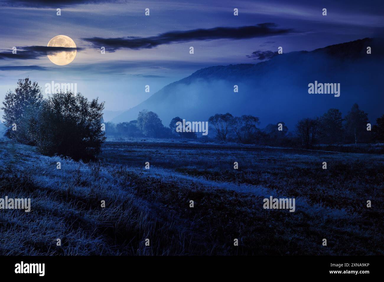 fog among trees on meadow in mountains under clear sky at night ...