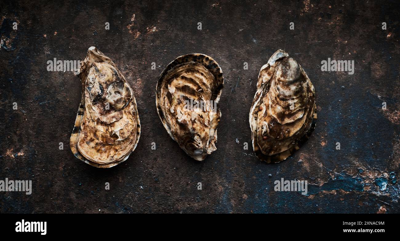 Unopened oysters hi-res stock photography and images - Alamy