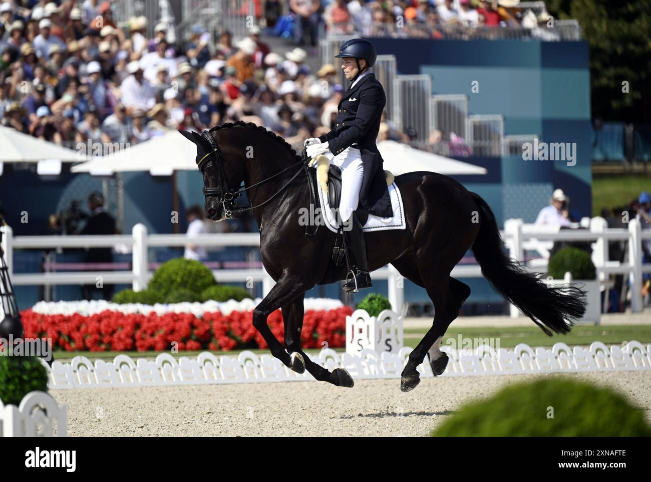 Paris, France. 31st July, 2024. Henri Ruoste of Finland with horse ...