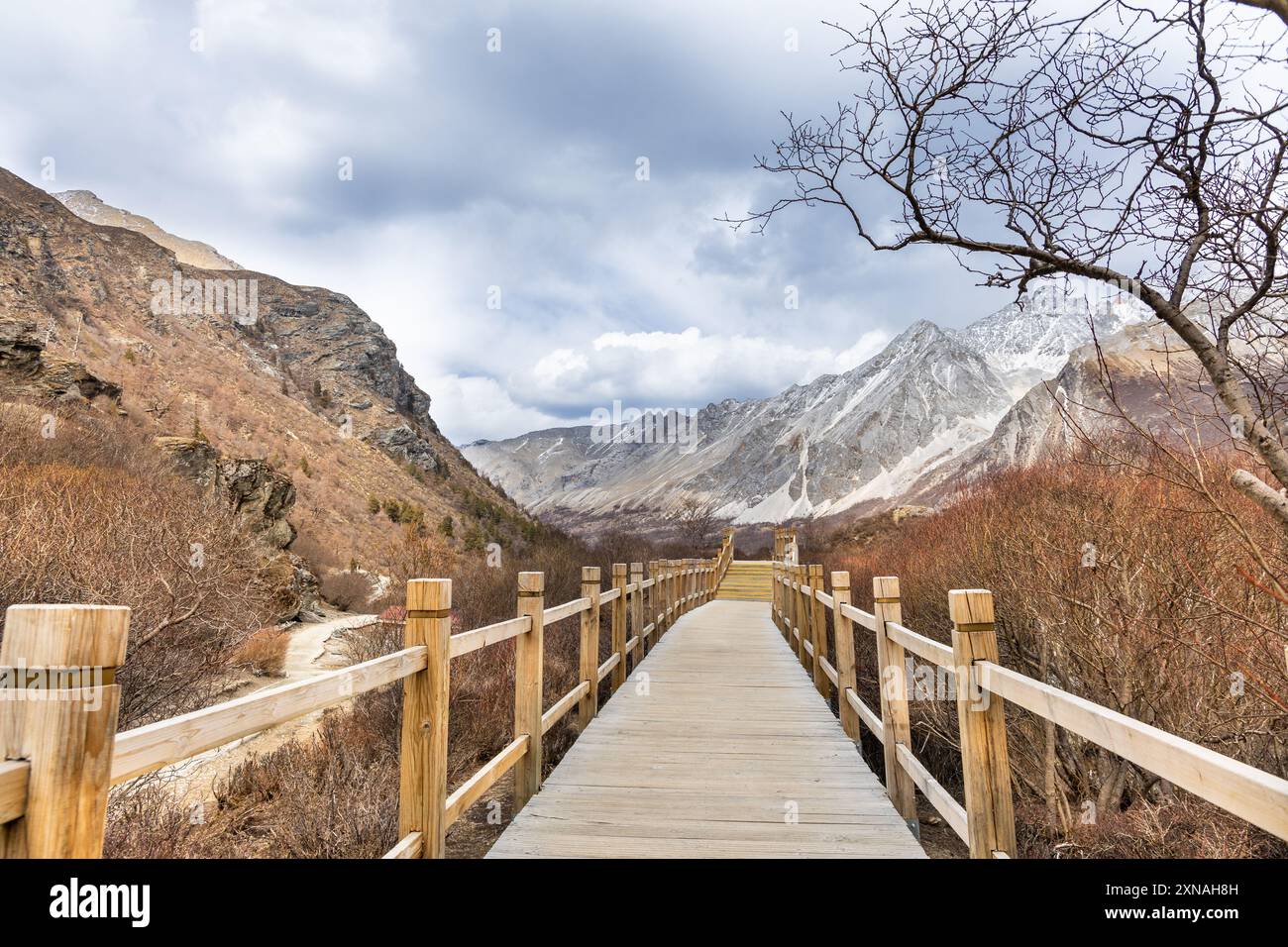 Boardwalk path in the scenic and breathtaking Yading nature reserve's ...