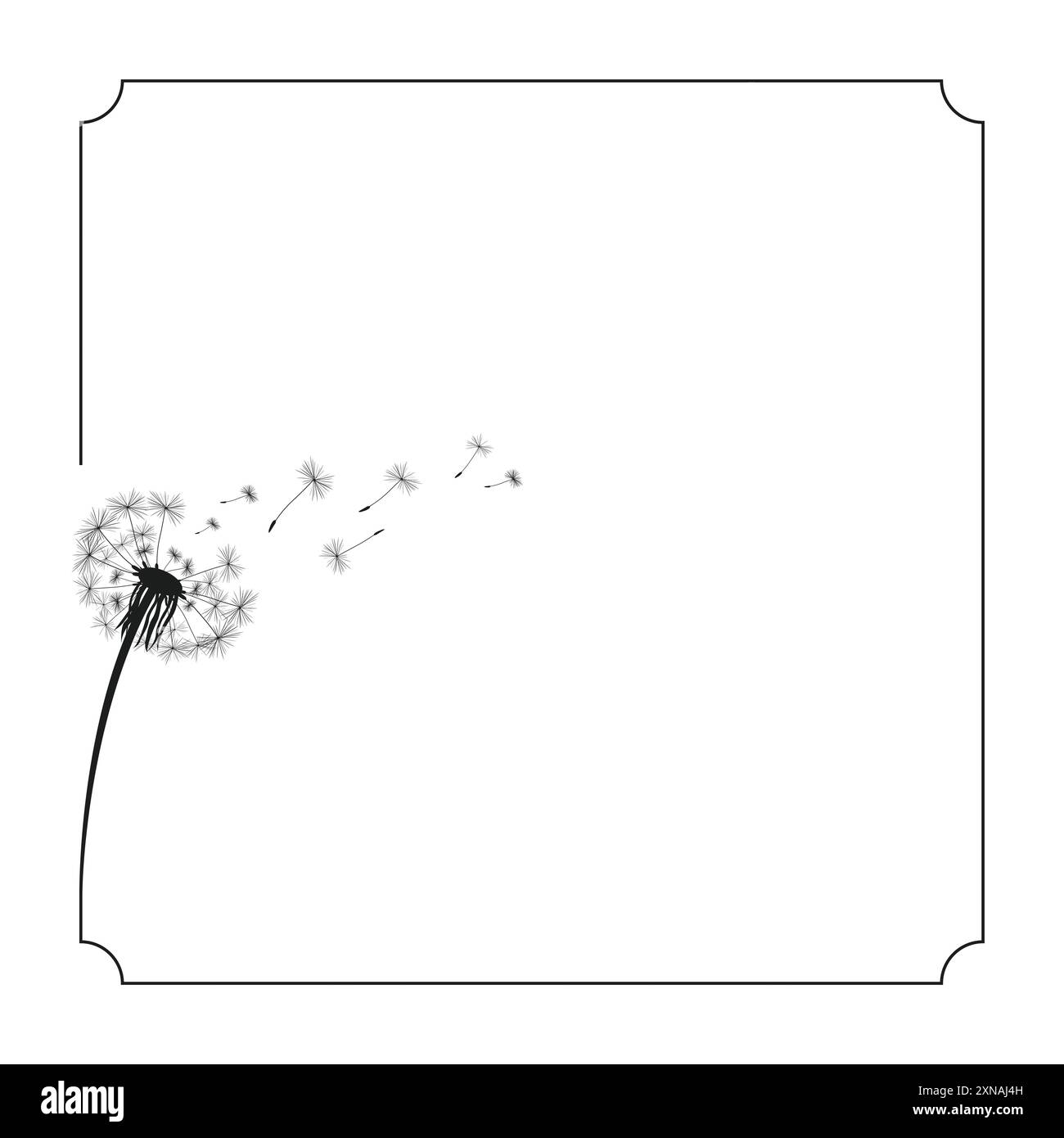 Obituary Frame Dandelion An obituary design with black dandelion Stock ...