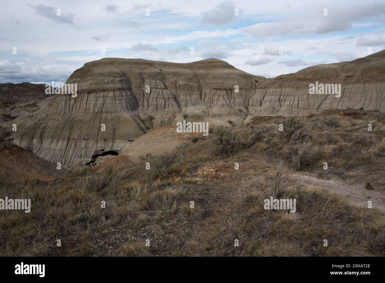 Dinosaur Provincial Park in Alberta in Canada protects lots of Dinosaur ...