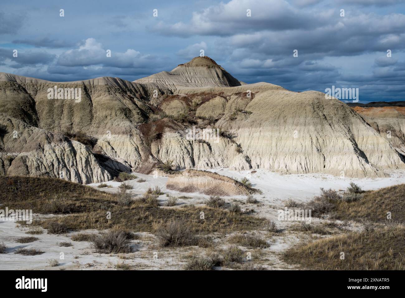 Dinosaur Provincial Park in Alberta in Canada protects lots of Dinosaur ...