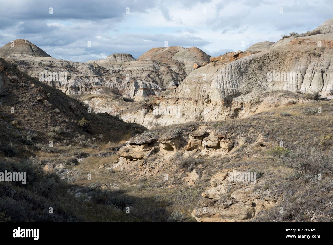 Dinosaur Provincial Park in Alberta in Canada protects lots of Dinosaur ...