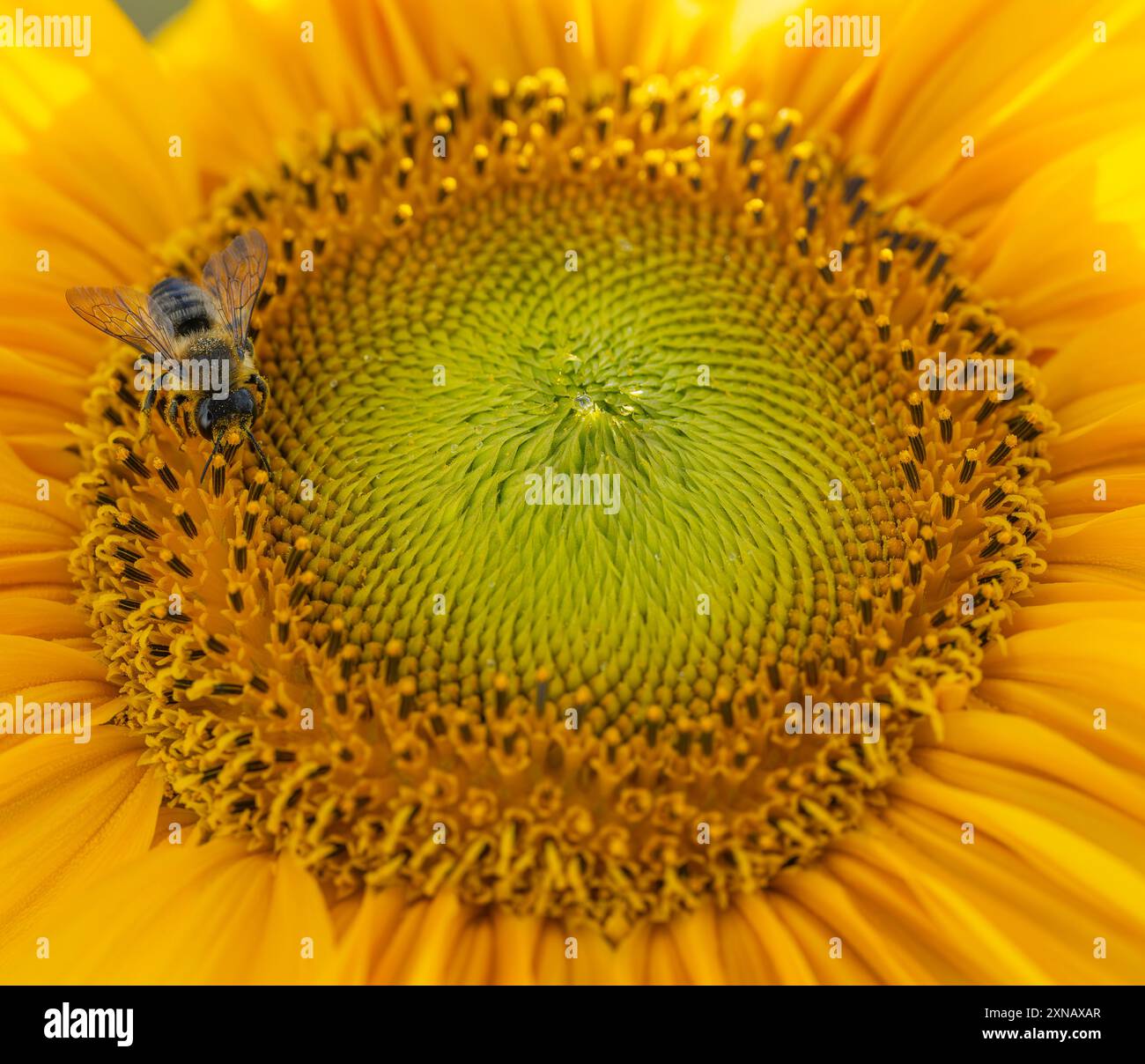 Naturism london hi-res stock photography and images - Alamy