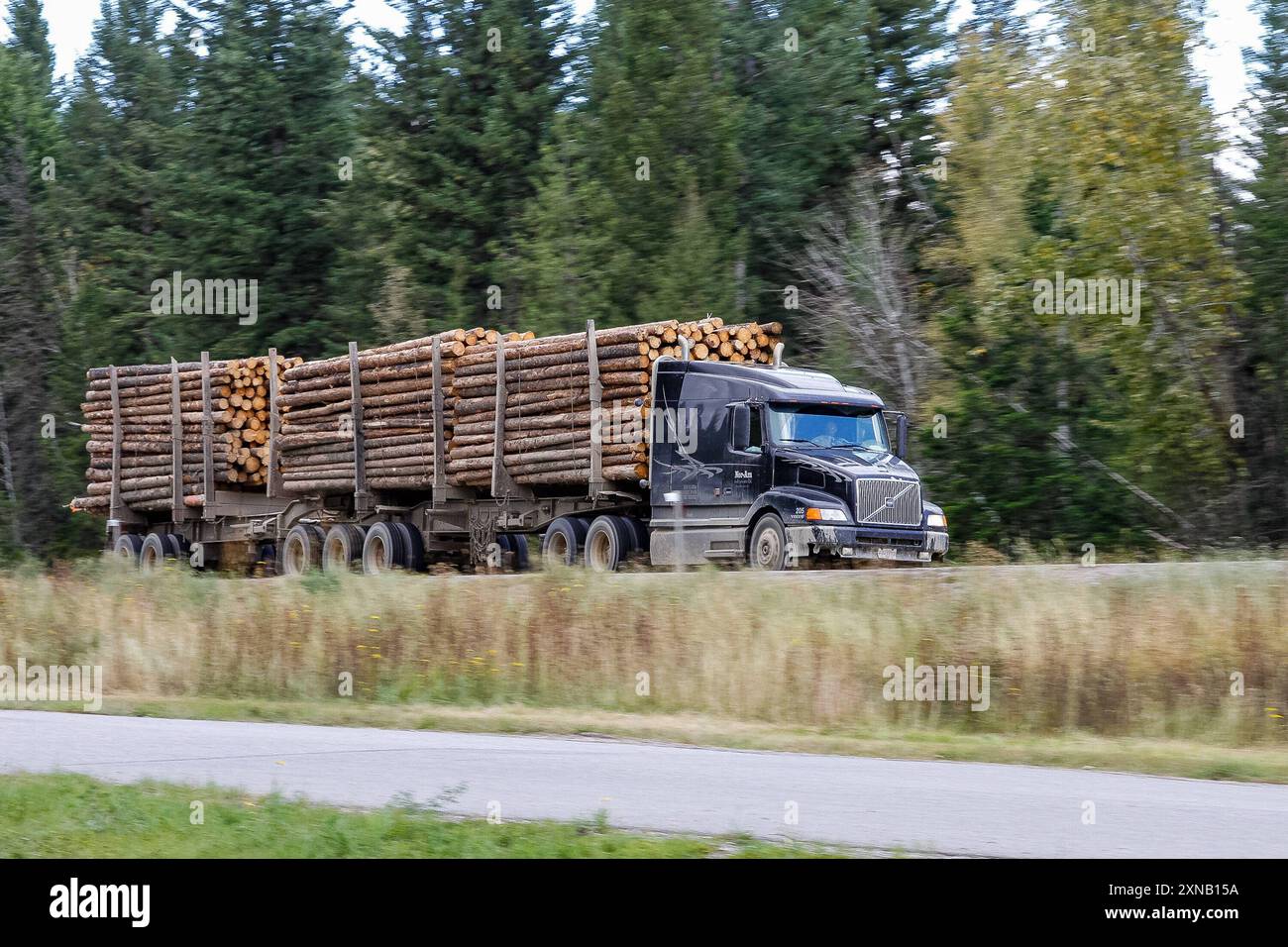 Timber machine canada hi-res stock photography and images - Alamy