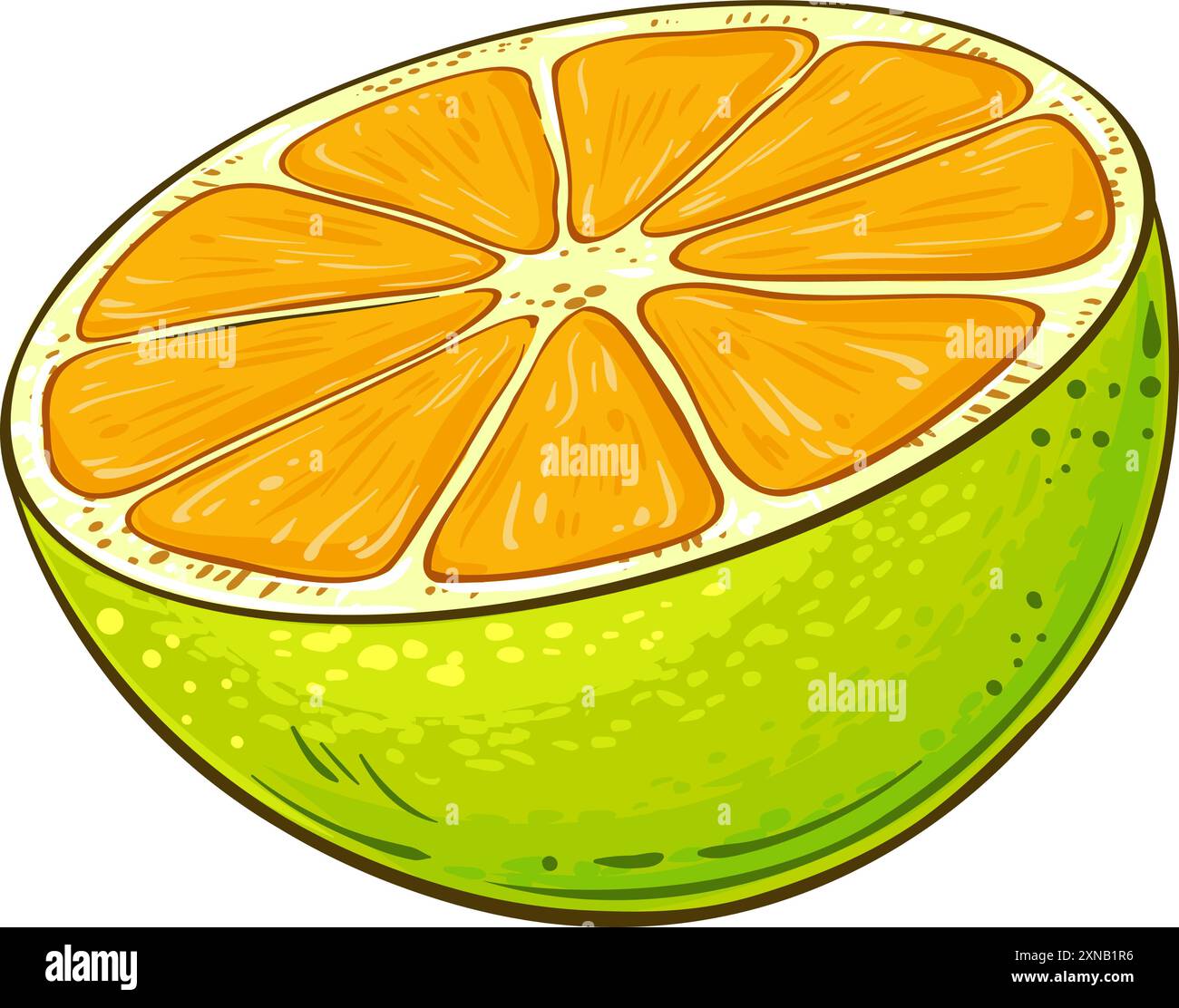 Tangerine colored flower hi-res stock photography and images - Alamy