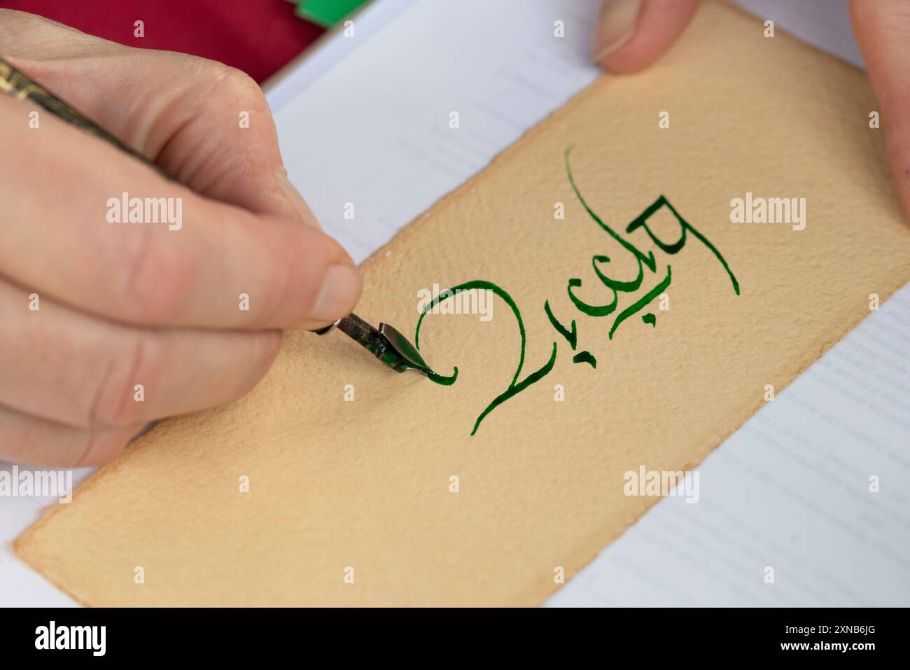 Italy, Lombardy, Historical Reenactment Medieval, Hand Writes Text with ...