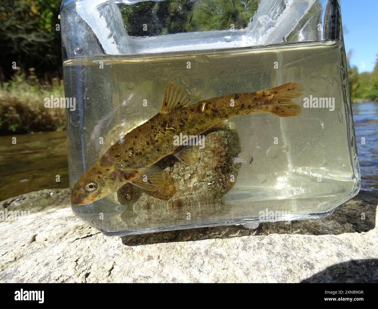 Cataractae hi-res stock photography and images - Alamy