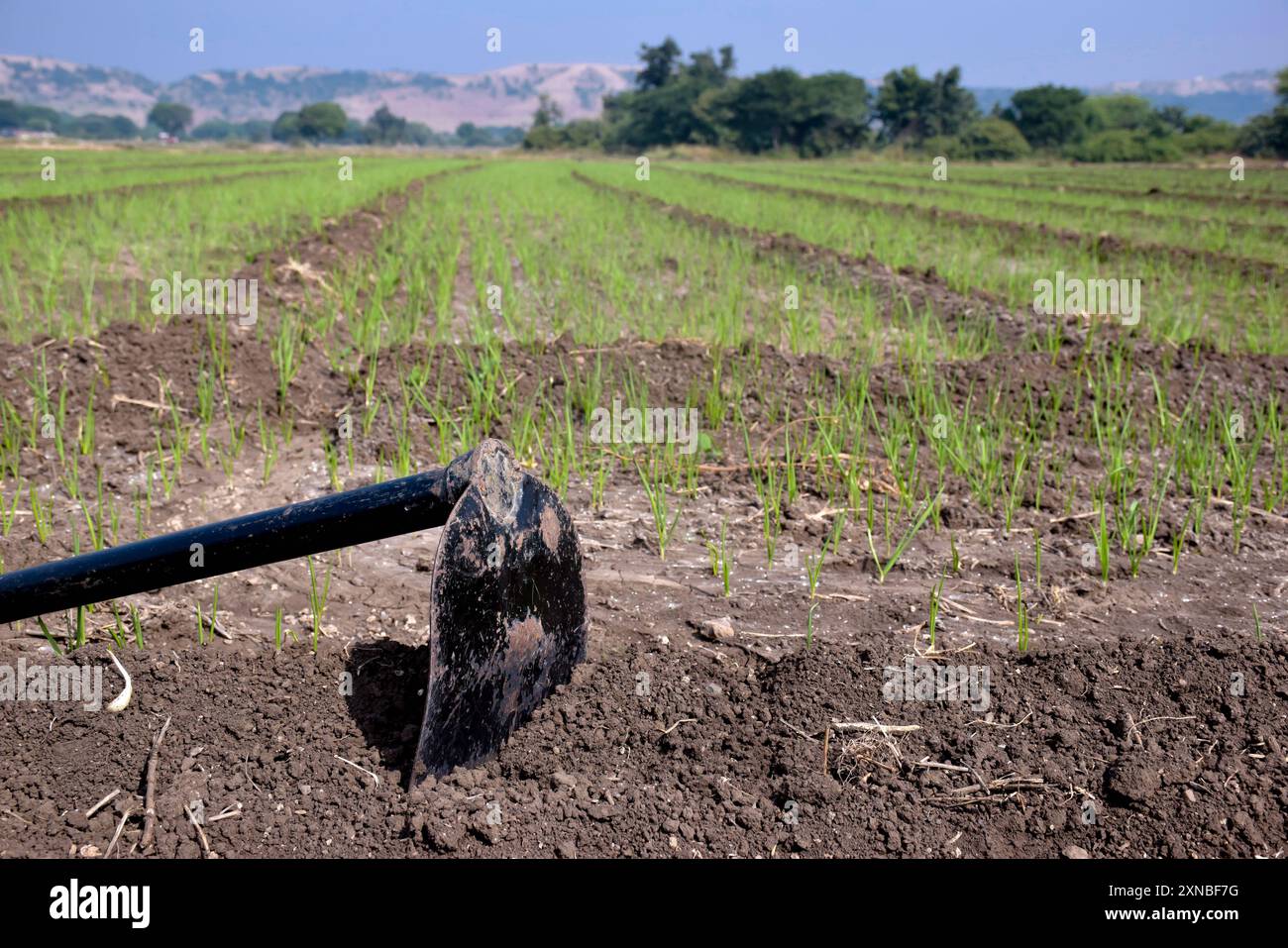 Farm agriculture concept farmer shovel hi-res stock photography and ...