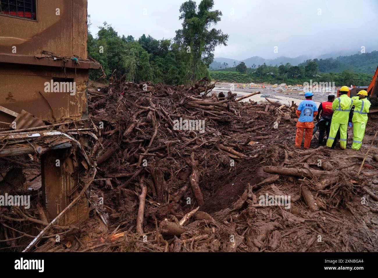 Rescuers stand on uprooted trees and other debris on their second day ...
