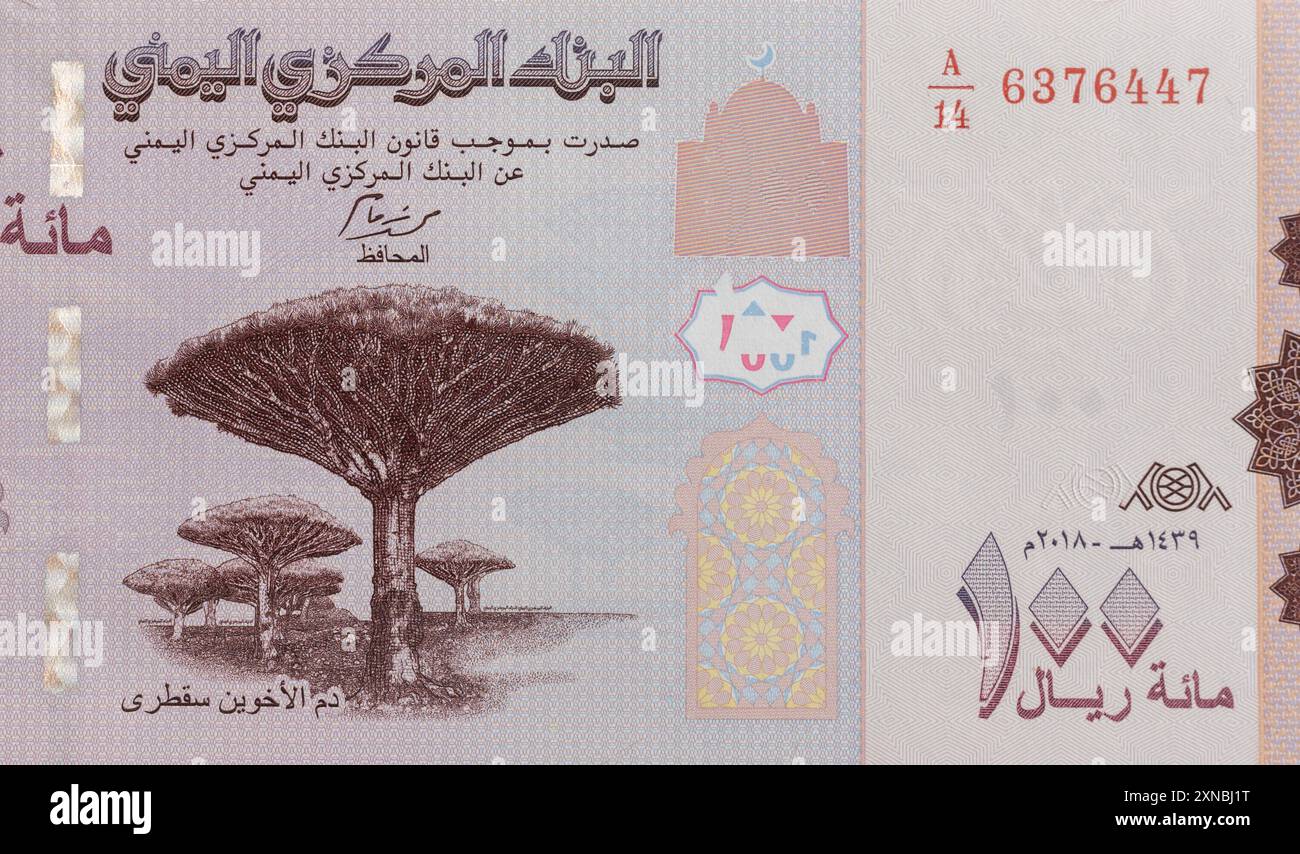 Dragon blood tree portrait from Yemen 100 rial banknote Stock Photo - Alamy