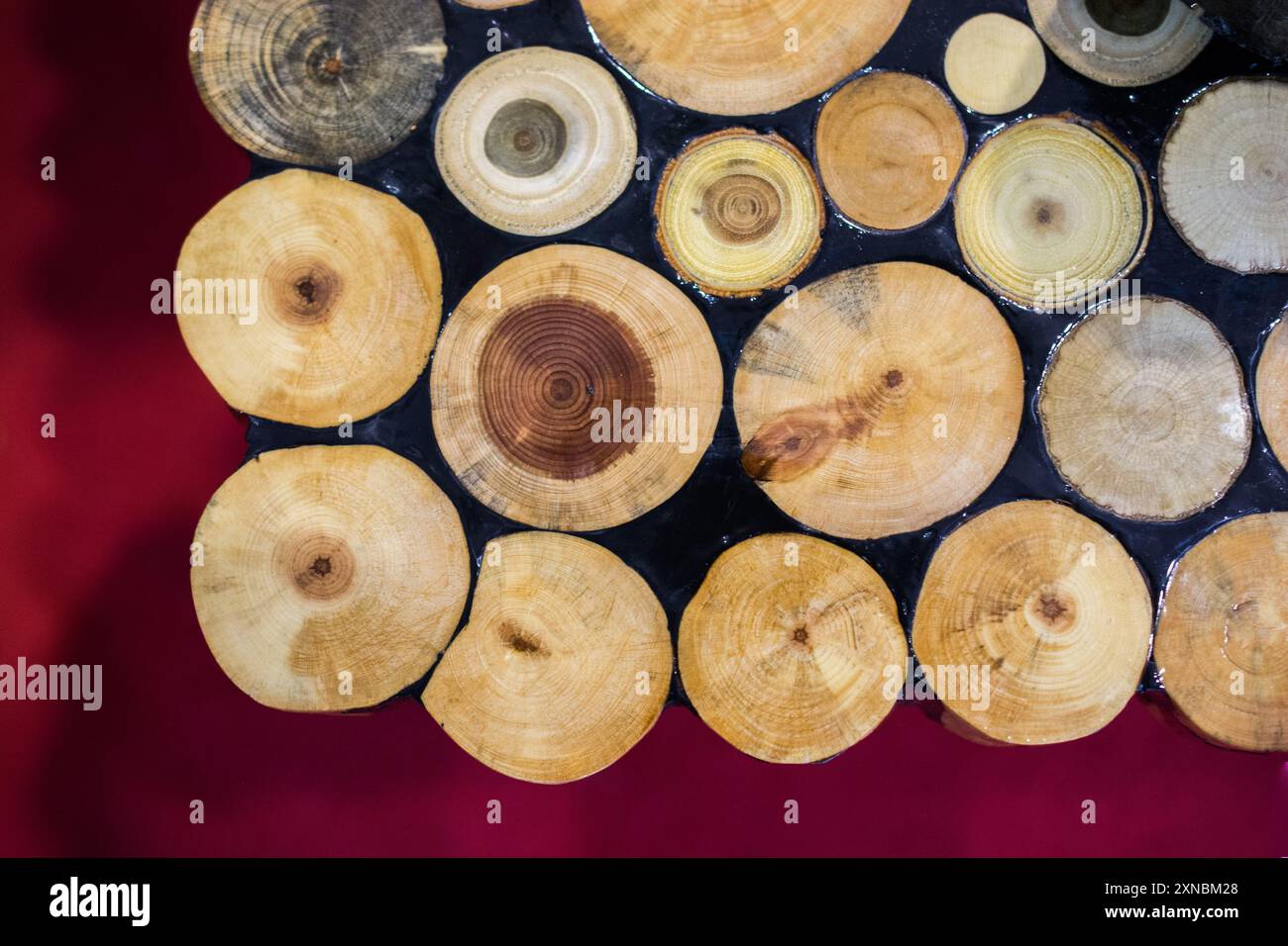 Wood Log cut in round thin pieces in view Stock Photo - Alamy
