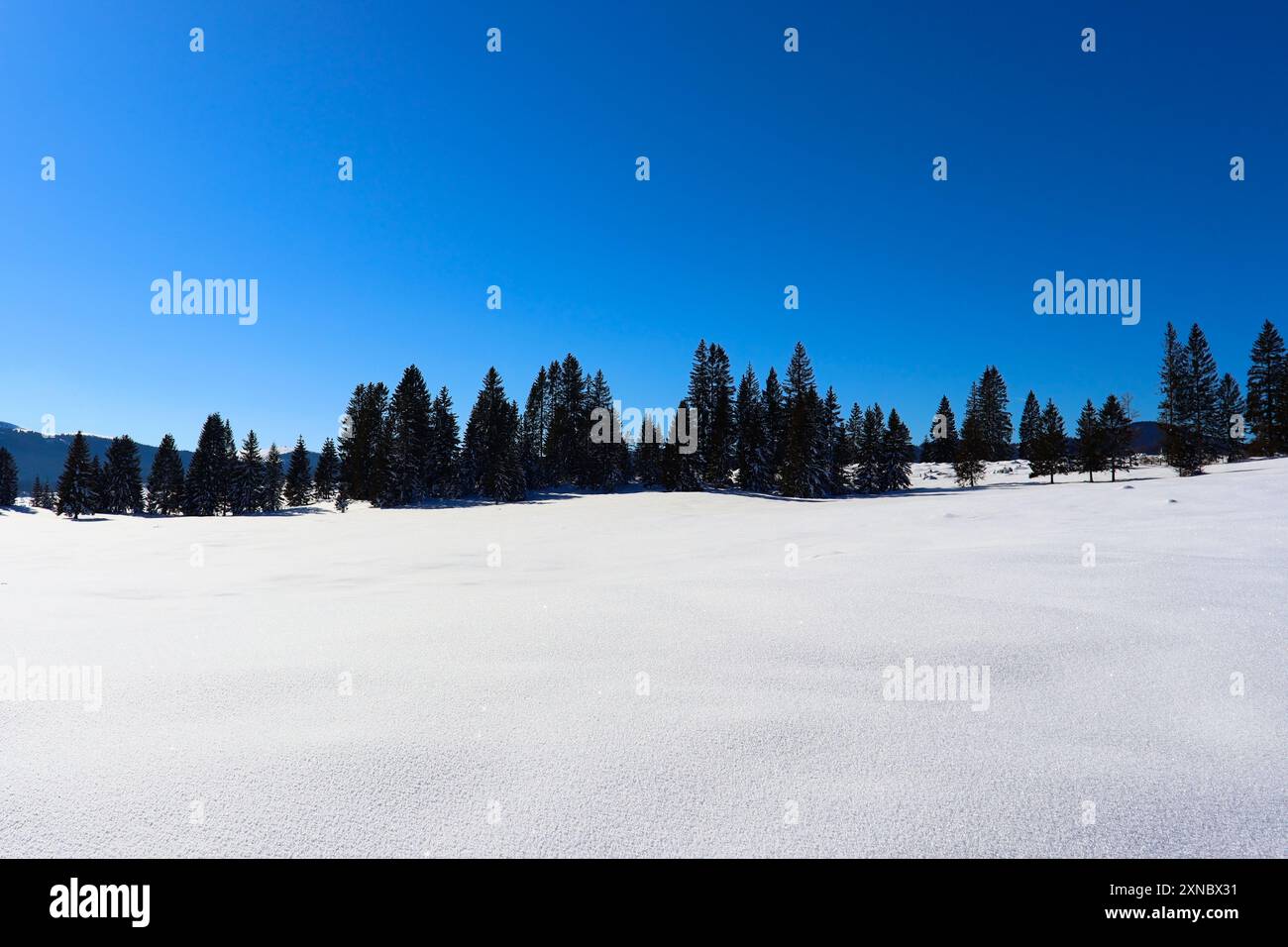 Snow, Snow everywhere, Piana di Malcesina, Italy Stock Photo - Alamy