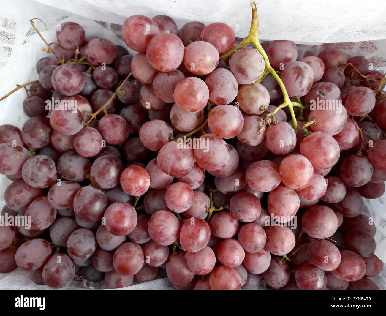Sweet red grape background over paper, wine grape texture, healthy ...