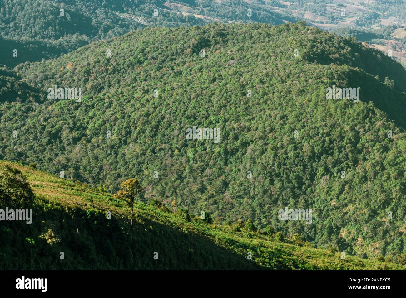 Beautiful landscape view of mountains at Doi Inthanon national park at ...