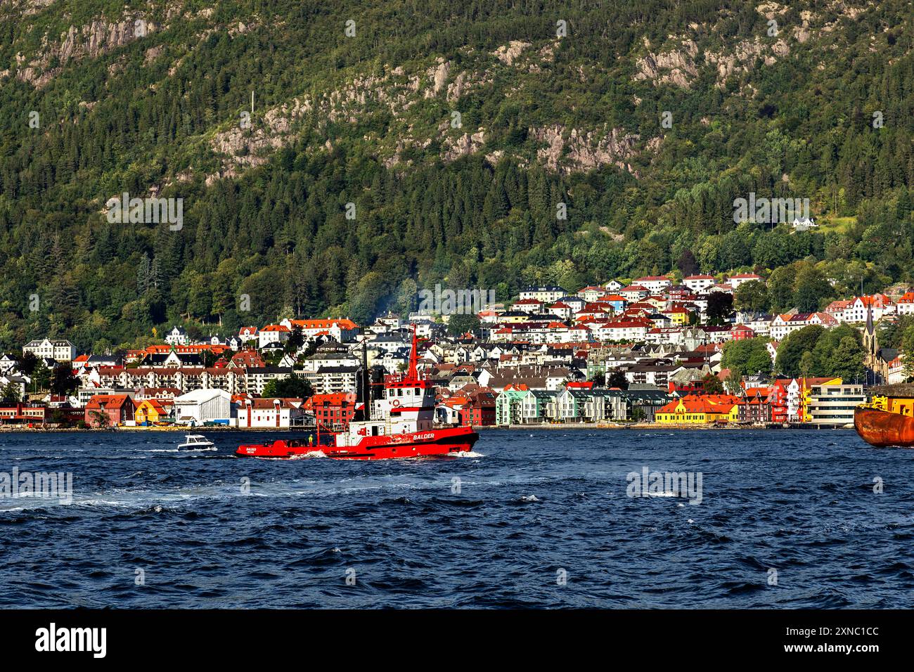 Balder bat hi-res stock photography and images - Alamy