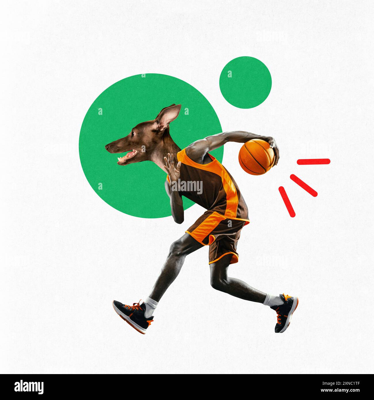 Contemporary art collage. Basketball player with head of dog dribbling ...