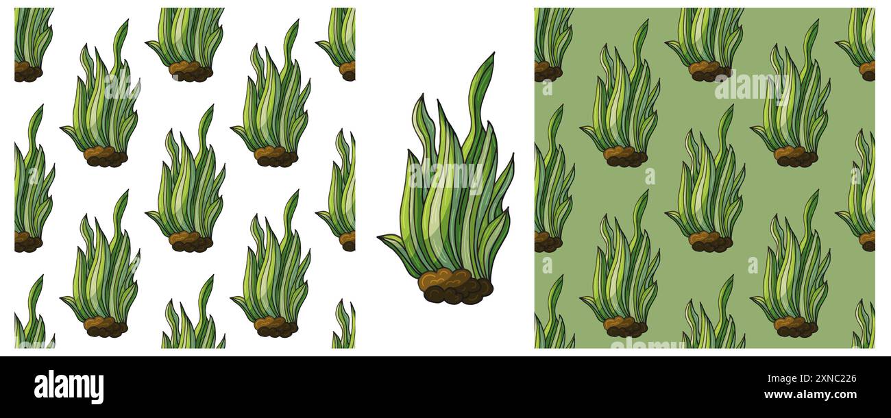 Set Creative marine seamless patterns. Algae. Pattern in hand draw ...