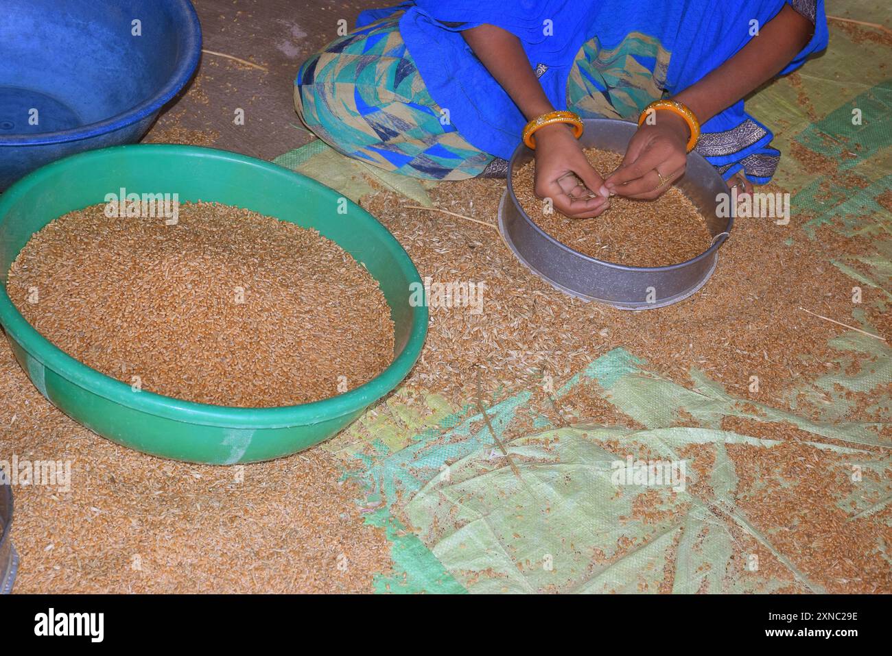 Sifting grain through sieve hi-res stock photography and images - Alamy